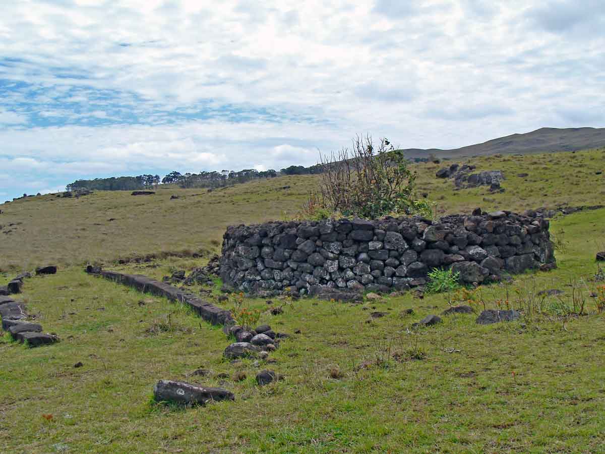 frances – "Conservación de la flora nativa de Rapa Nui, Isla de Pascua"